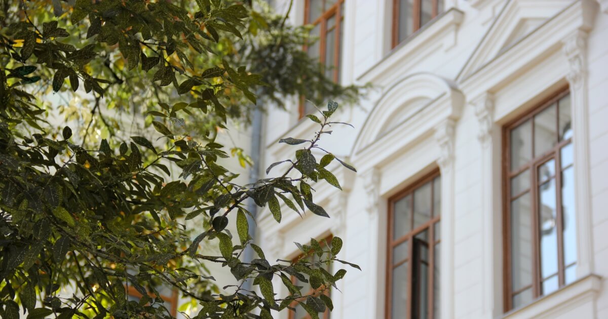 თბილისის სახელმწიფო უნივერსიტეტი ახალი ადმინისტრასიულ კორპუსს აშენებს ...