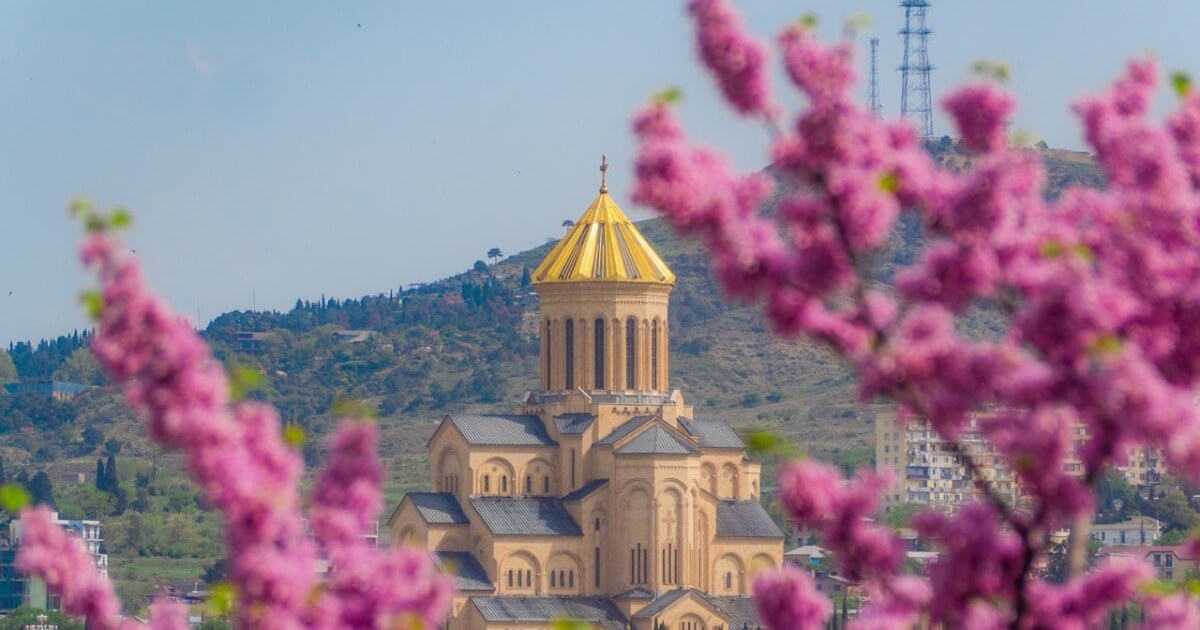 თბილისური გაზაფხული – kalaki.ge-ს ფოტორეპორტაჟი დედაქალაქის ბოტანიკური ...